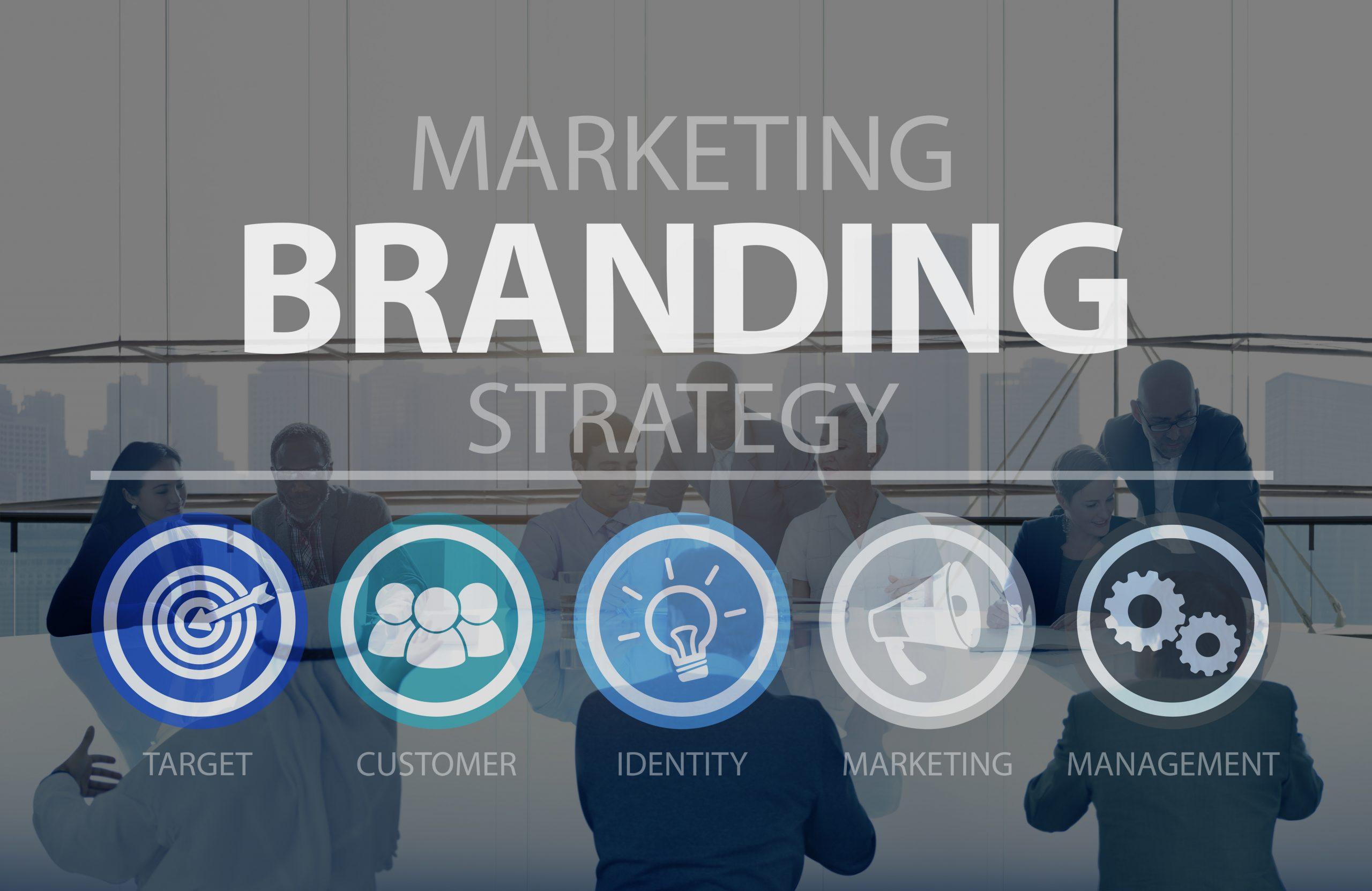 How to Create a Brand Strategy? A Quick Guide - Comarketing Hub